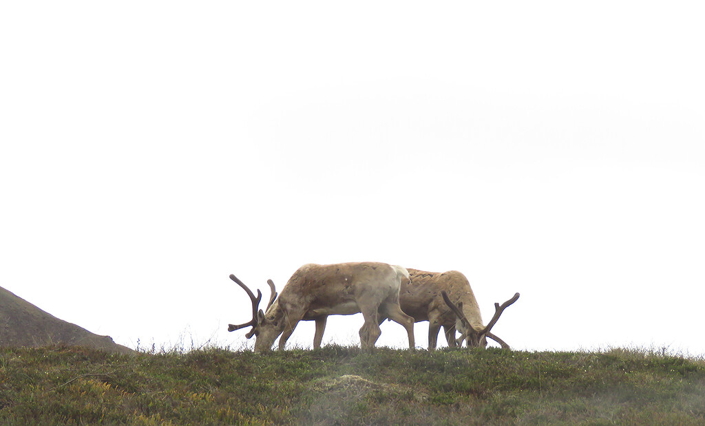 Sometimes Combining Two Adjacent Images Makes A Difference - People and ...