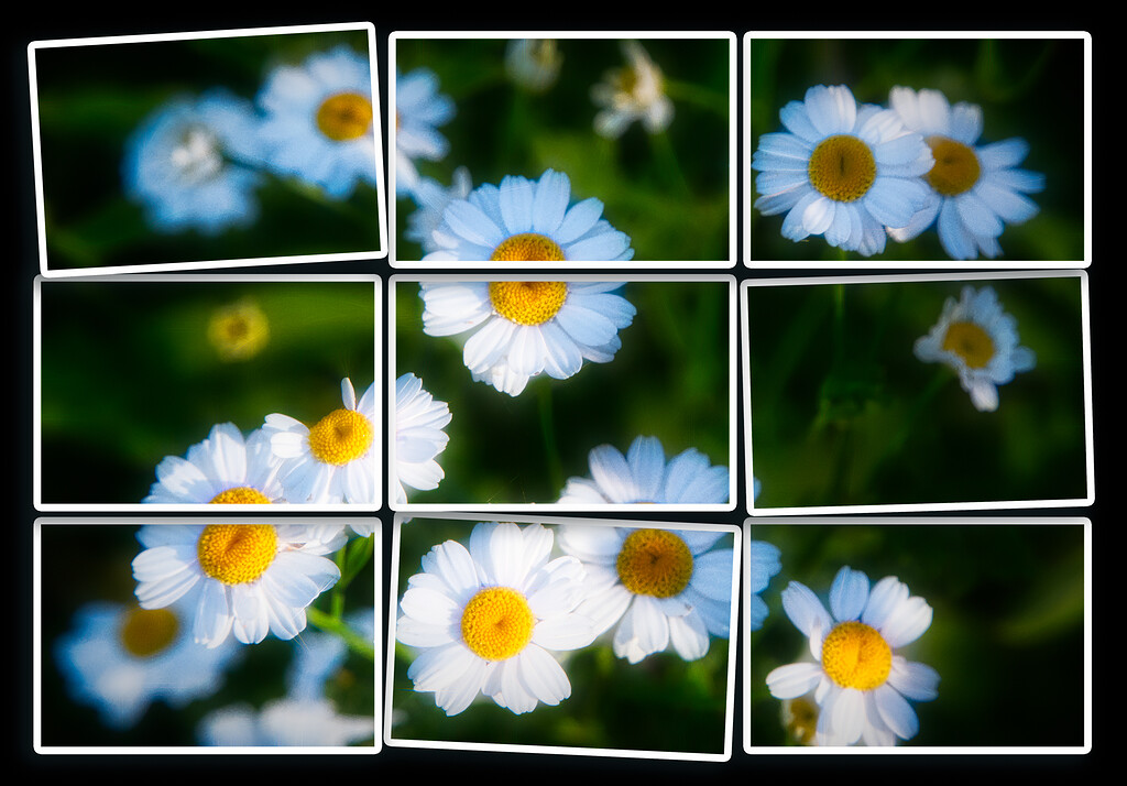 Daisy Chain Link - Scenery and Architecture - Topaz Community