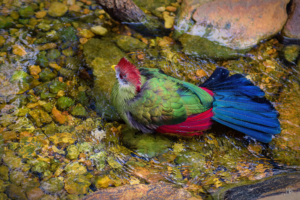 On a hot day - People and Animals - Topaz Community