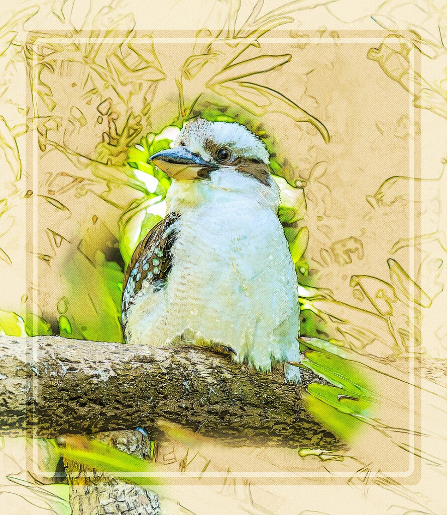 Laughing Jackass Having a Smile - People and Animals - Topaz Community