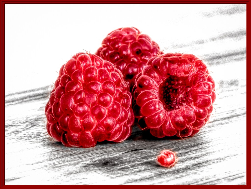 Raspberries - Other Cool Photos - Topaz Community