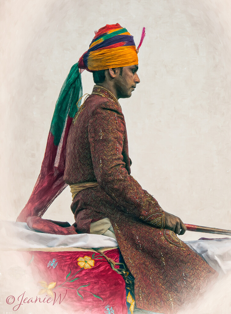 Young Mahout, Rajasthan - People and Animals - Topaz Community