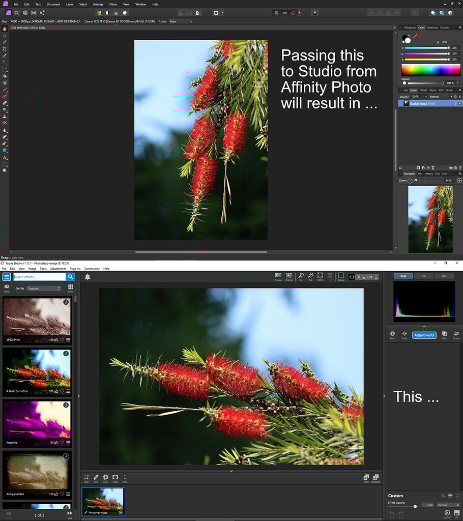Processing in Topaz Products from Affinity Photo ... Orientation Solved ...