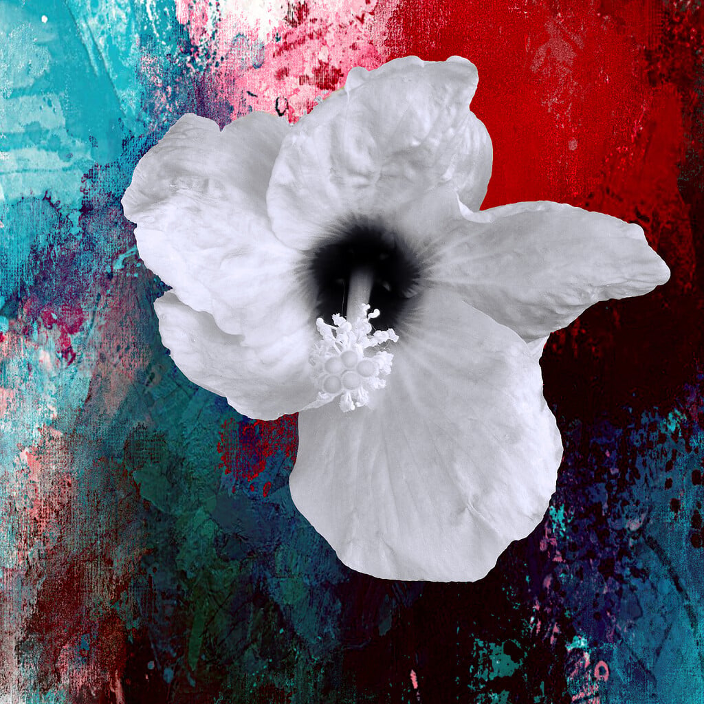 Ran Out Of Yellow Electrons and Photons So The Flower Had To Stay White ...