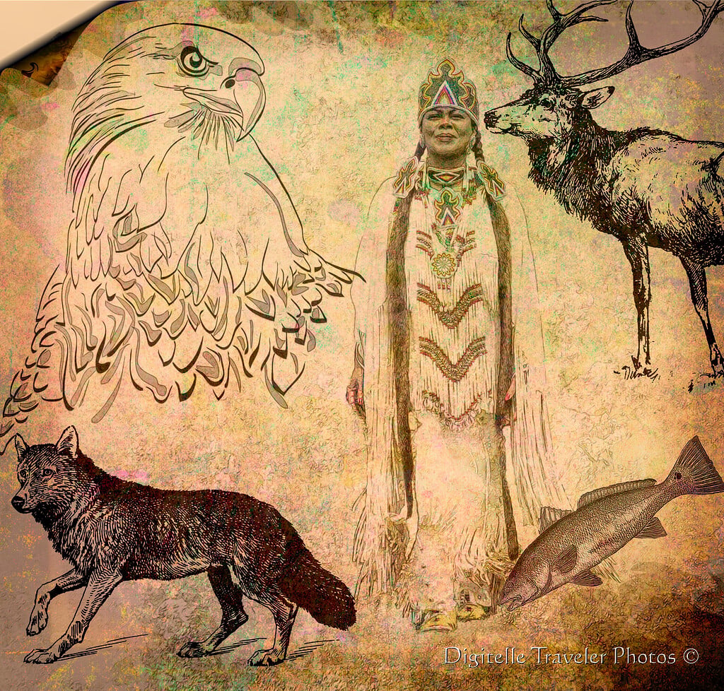 Native Land - Other Cool Photos - Topaz Community