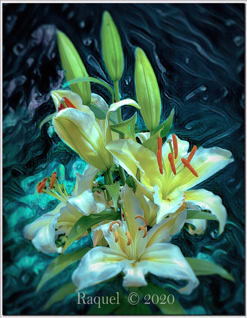 Backyard lilies - Scenery and Architecture - Topaz Community