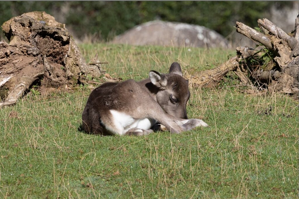 Images too bright - General - Topaz Community