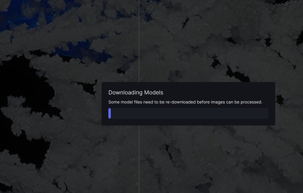 Why does this now happen after the last update? - General - Topaz Community