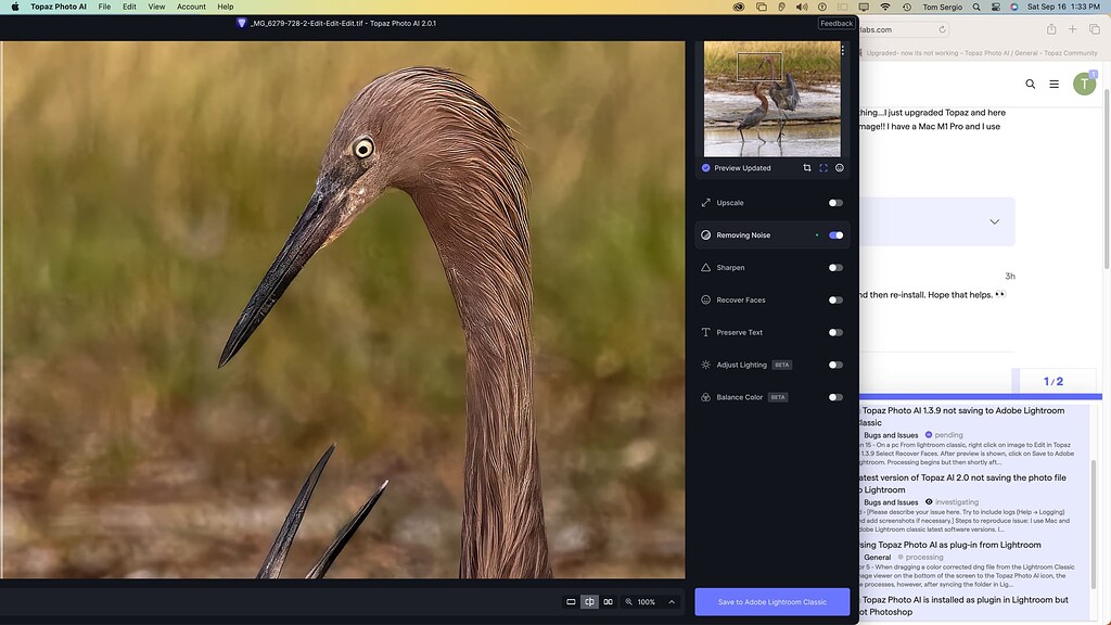 The recent topaz 2.0.1 not working - General - Topaz Community