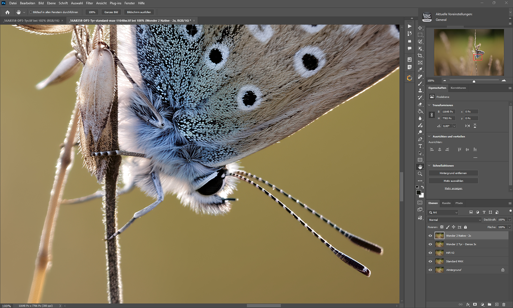 Topaz Gigapixel v1.1.0 - v1.1.1 - Releases - Topaz Community