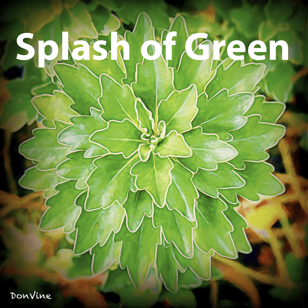 Splash of Green - Other Cool Photos - Topaz Community