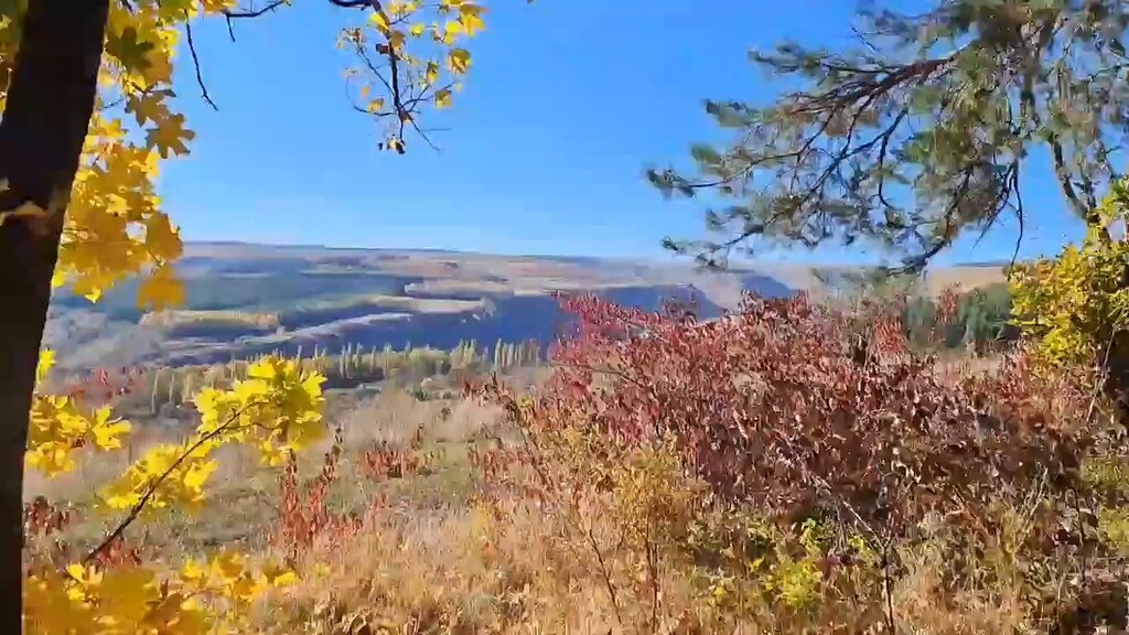 Proteus+Iris overlay for over-compressed videos - General - Topaz Community