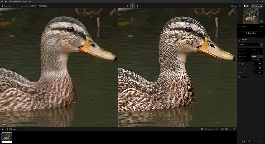 Topaz Photo v1.0.2 - Releases - Topaz Community