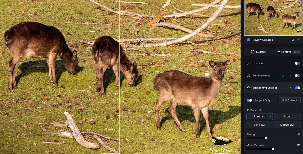 Sharpen Broken - Bugs and Issues - Topaz Community