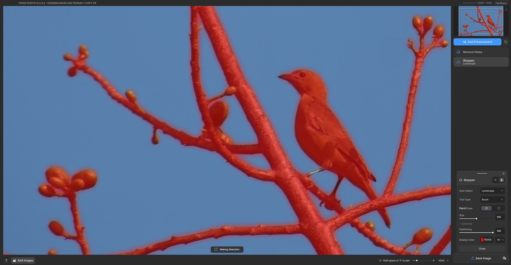 Topaz Photo AI v2.4.2 - Releases - Topaz Community