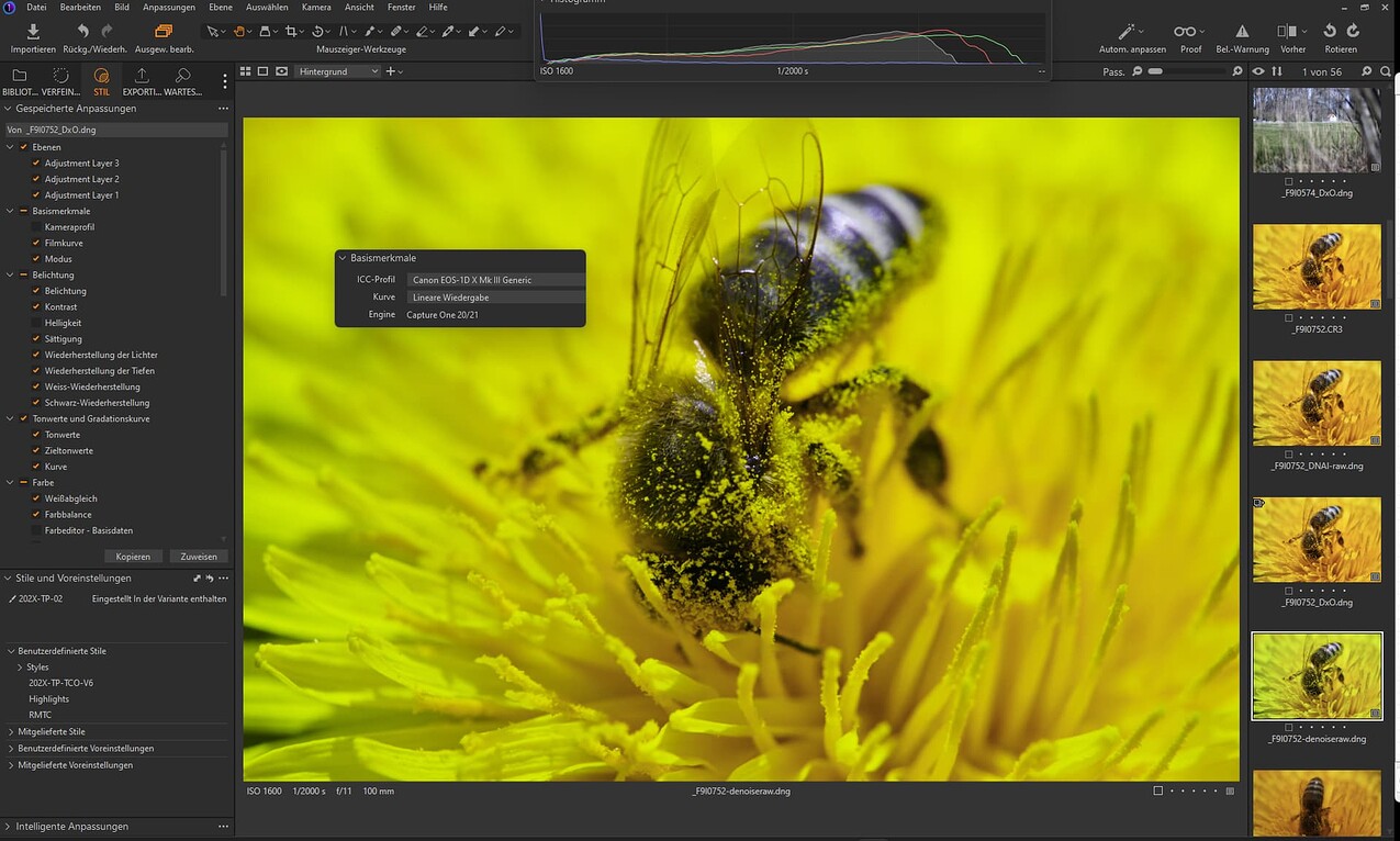 Topaz Photo AI v1.2.4 - Releases - Topaz Community