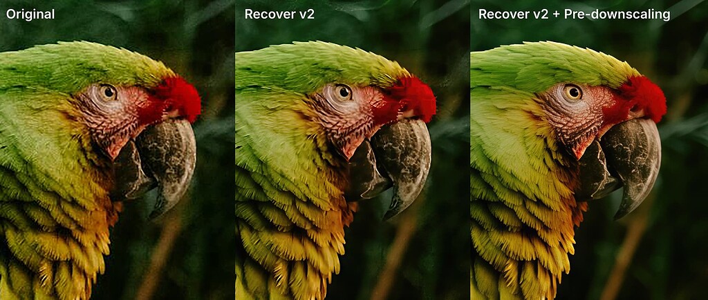 Gigapixel v8.4.0 - Releases - Topaz Community