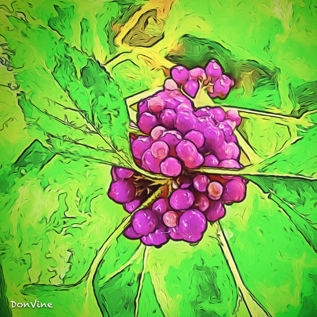 A Weed with Purple Berries donvine.com - Other Cool Photos - Topaz ...