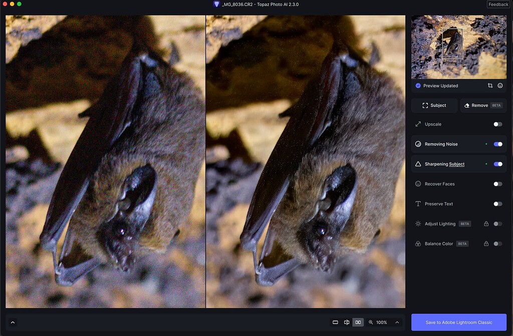Noise reduction introducing "hot pixels" - Bugs and Issues - Topaz Community