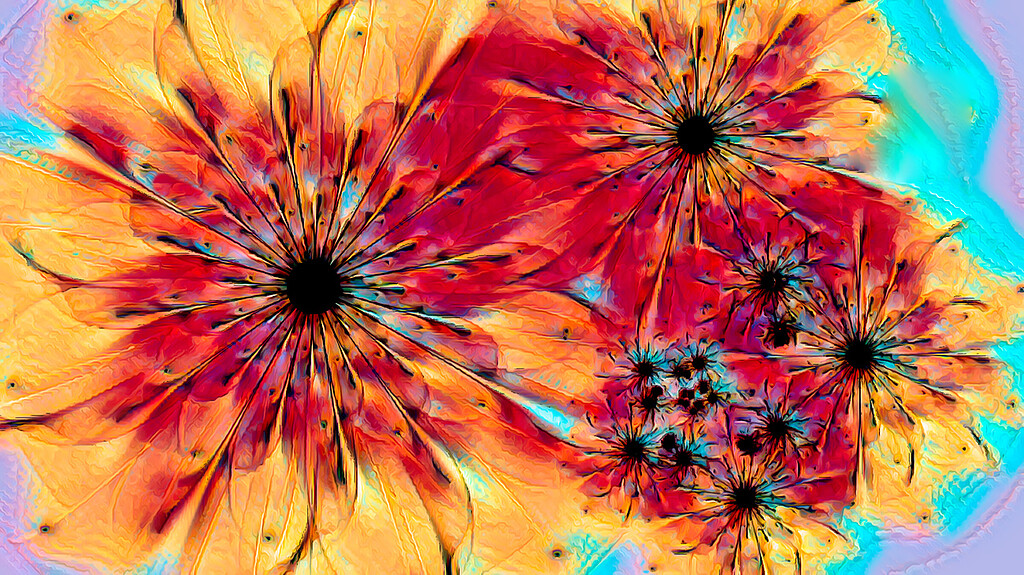 Fractal Daisy - Other Cool Photos - Topaz Community