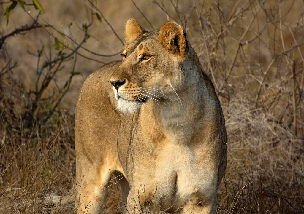 Topaz Photo AI v3.5.0 - Releases - Topaz Community