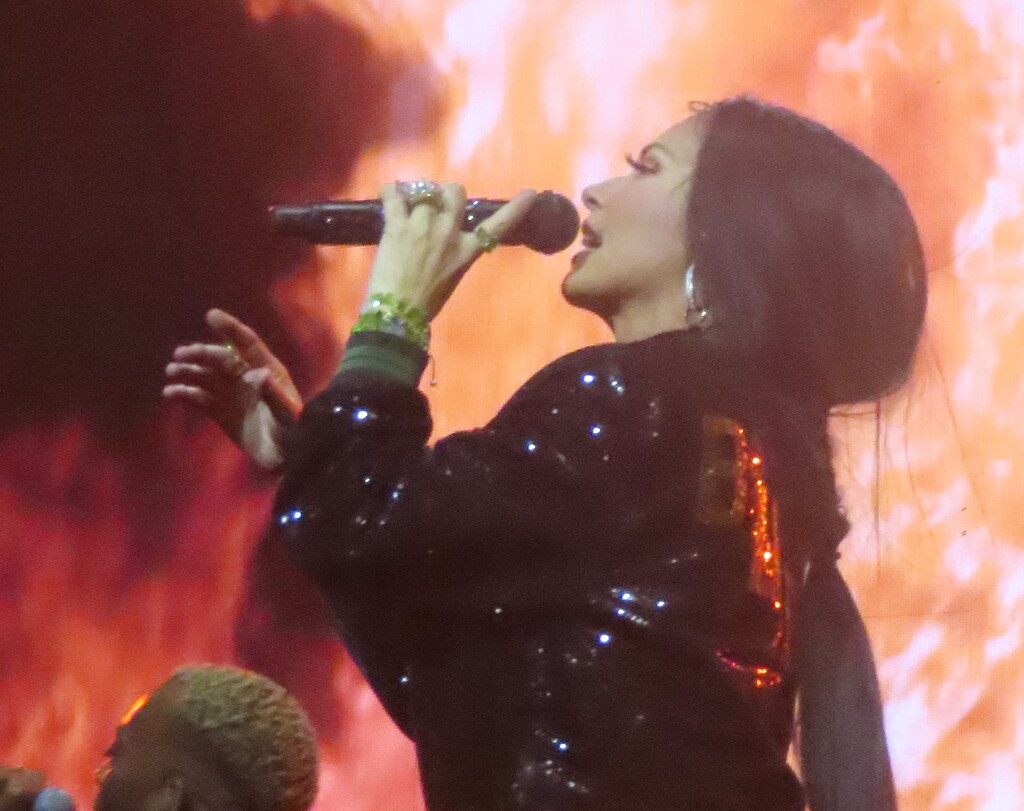 Advice - Product Technical Support - Topaz Community