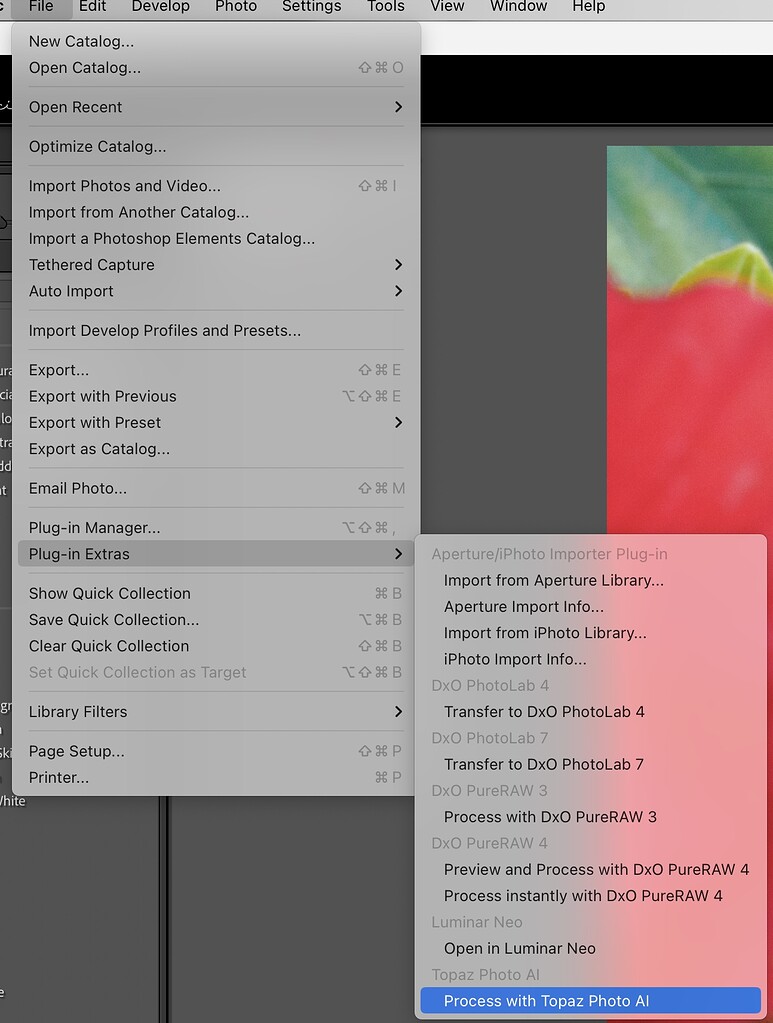 Photo not exported to LRC after using photo AI - Bugs and Issues - Topaz Community