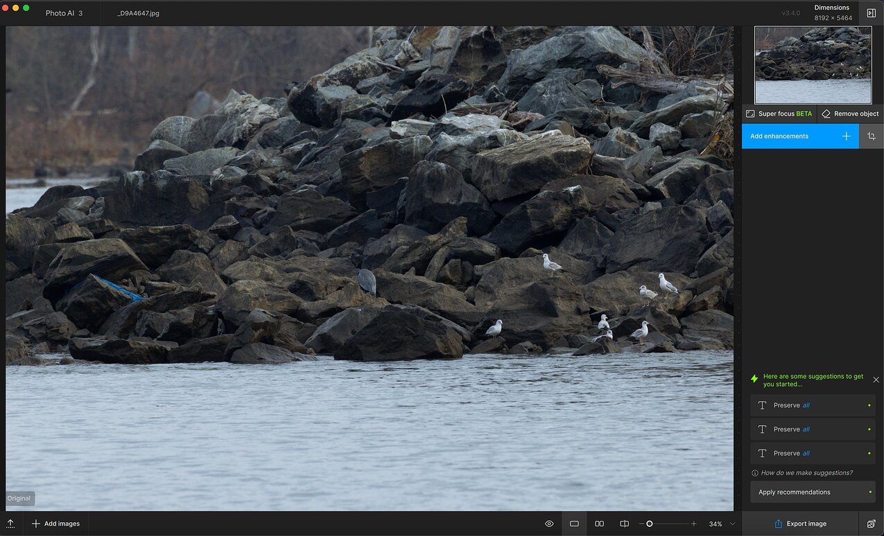 Topaz Photo AI v3.4.0 - v3.4.2 - Releases - Topaz Community