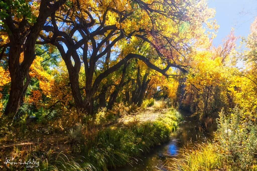 Magical fall - Scenery and Architecture - Topaz Community