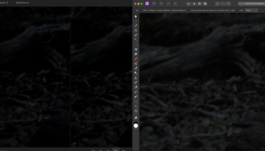 Rogue Hot pixels appearing and crushed blacks - Bugs and Issues - Topaz ...