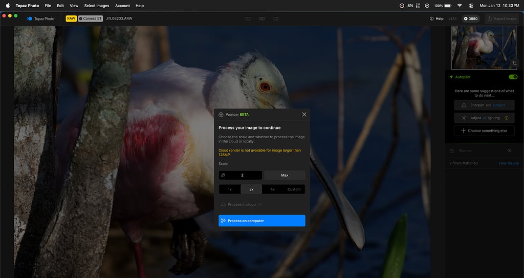 Tried Wonder, got error "Cloud render is not available for image larger ...