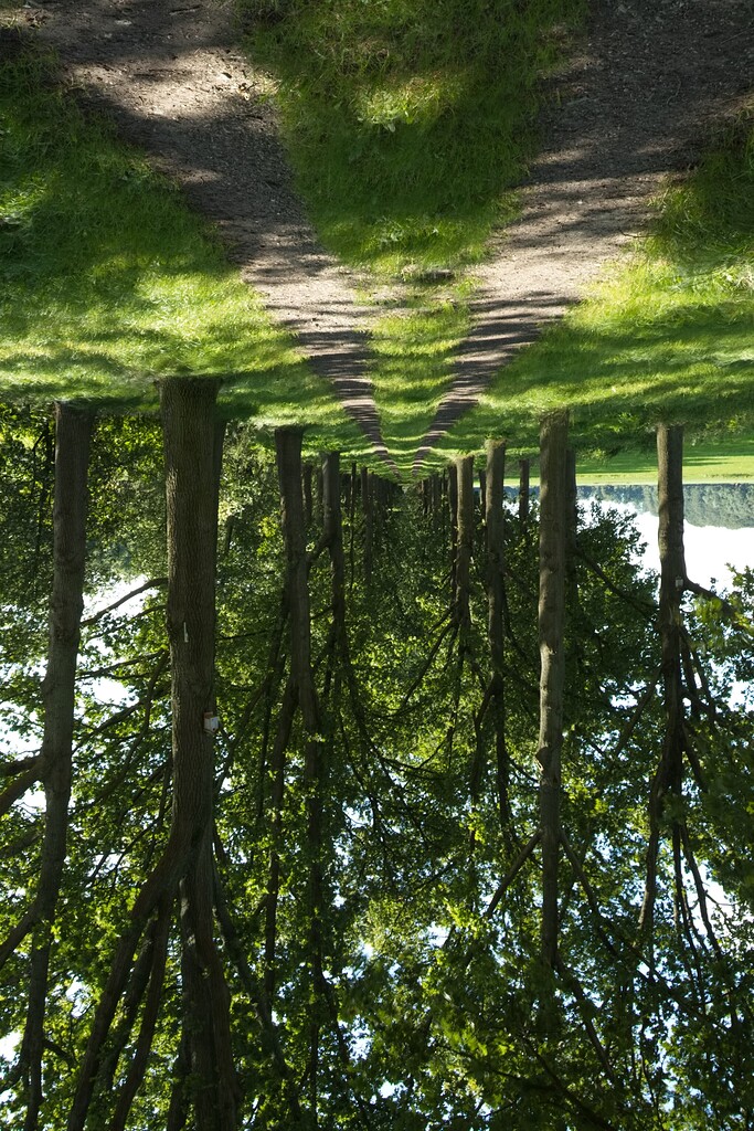 Img processed in remove saved up site down and mirror - Bugs and Issues ...