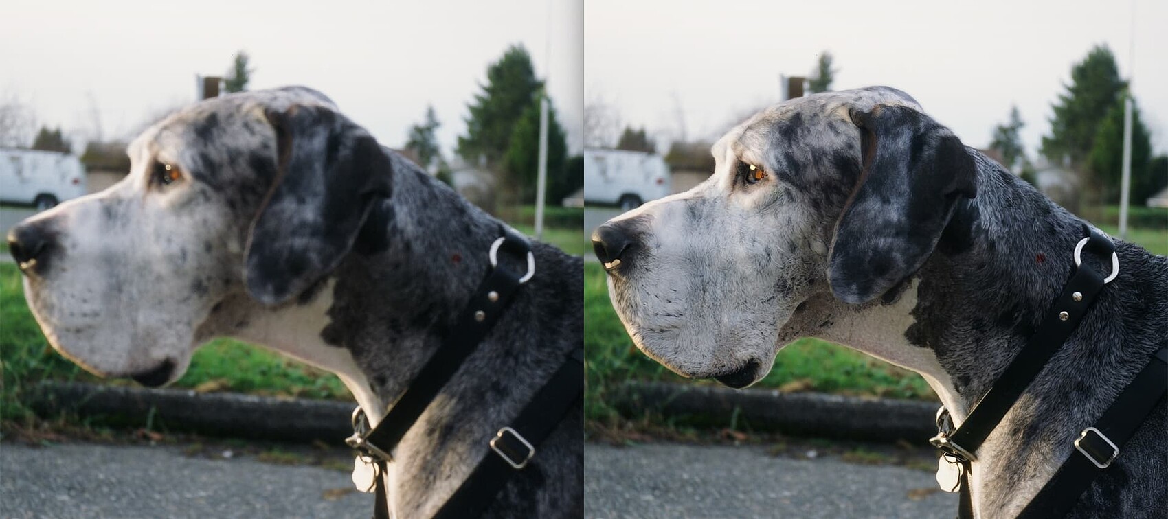 Topaz Photo AI v3.3.0 - Releases - Topaz Community