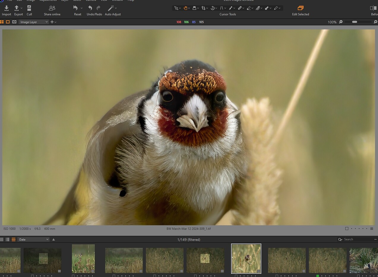 Topaz Photo AI v3.3.1 - Releases - Topaz Community
