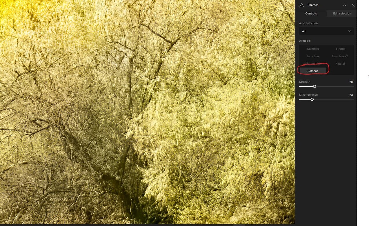 Topaz Photo AI v3.2.0 - Releases - Topaz Community