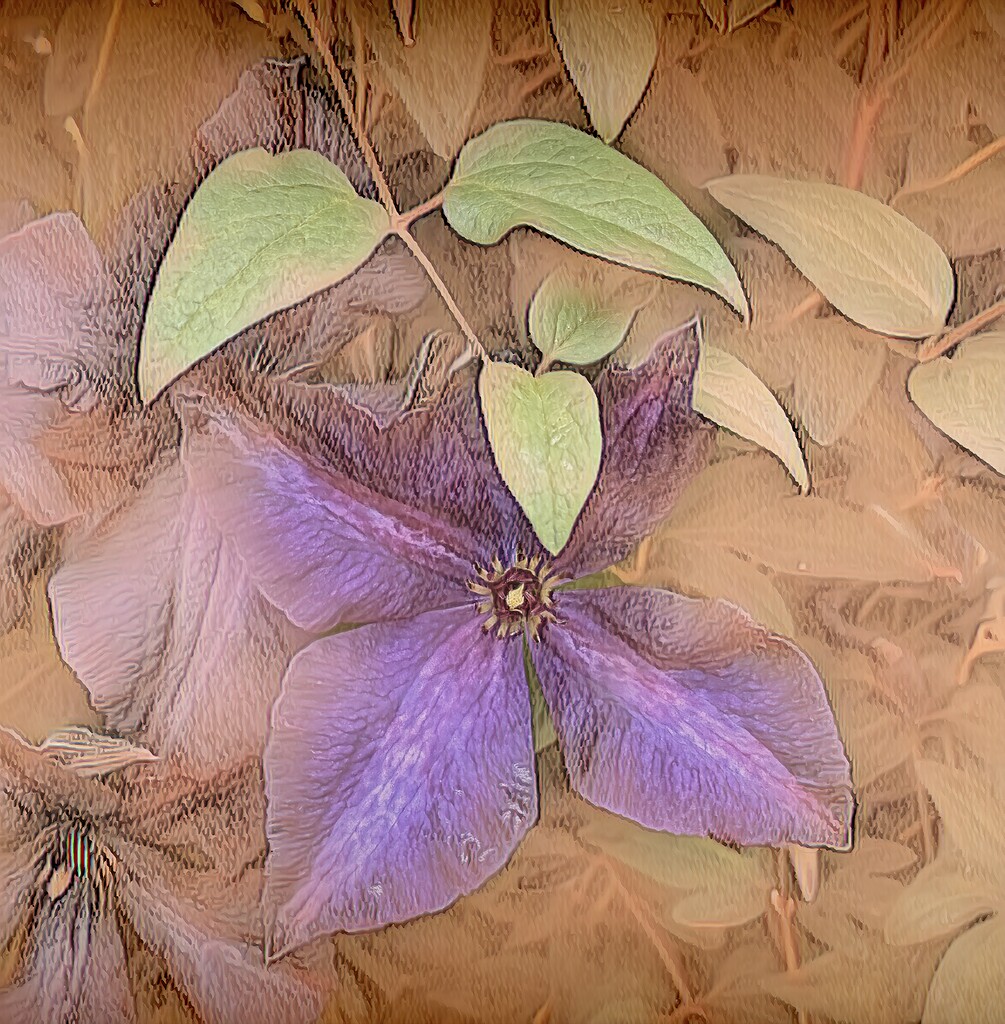 The Summer of 2020 - Other Cool Photos - Topaz Community