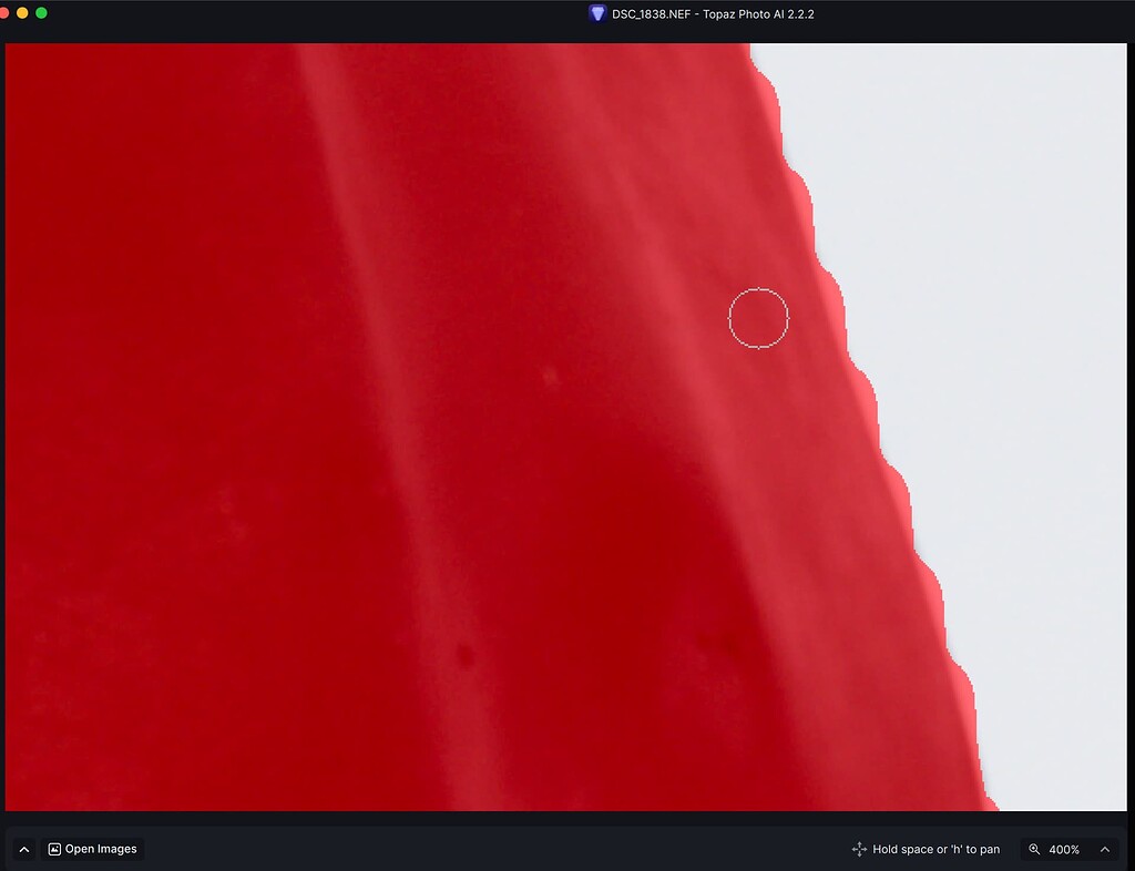 Automasking – salient subject masking – sms_new-v3 – Creating Wave Artifact along very Distinct ...