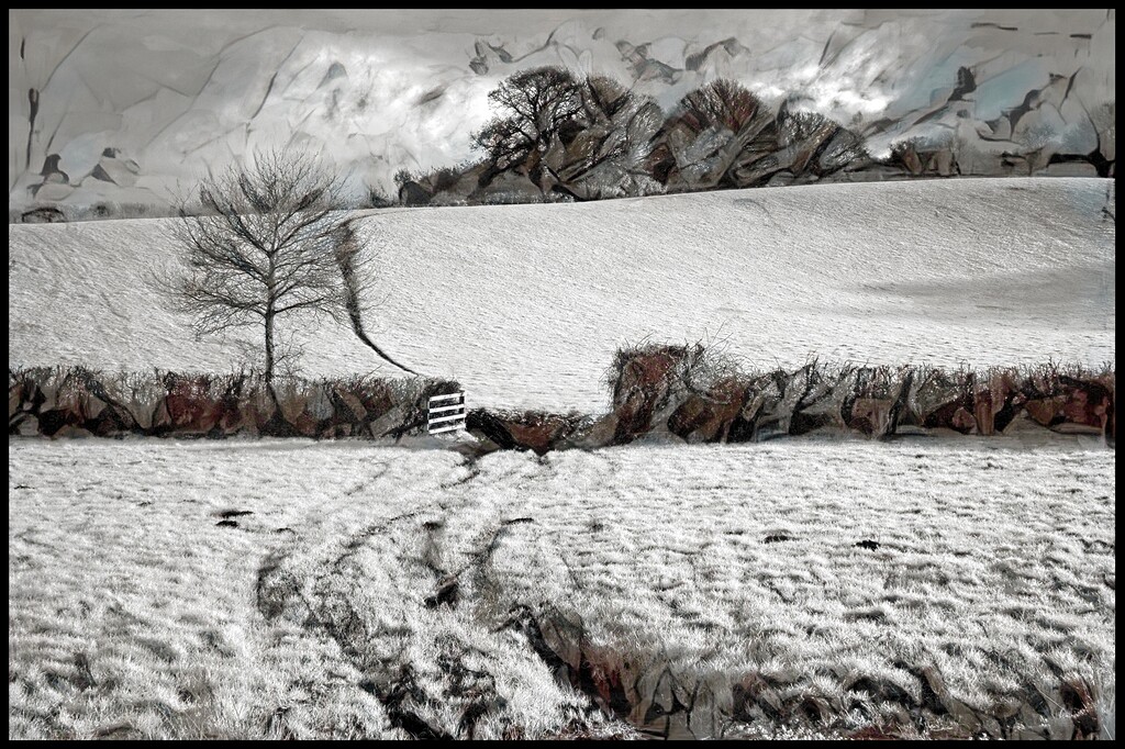 Upper Fields - Other Cool Photos - Topaz Community