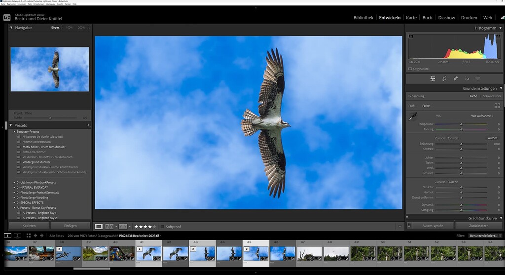 Dramatic Color shift in Topaz 20.0.4 - General - Topaz Community