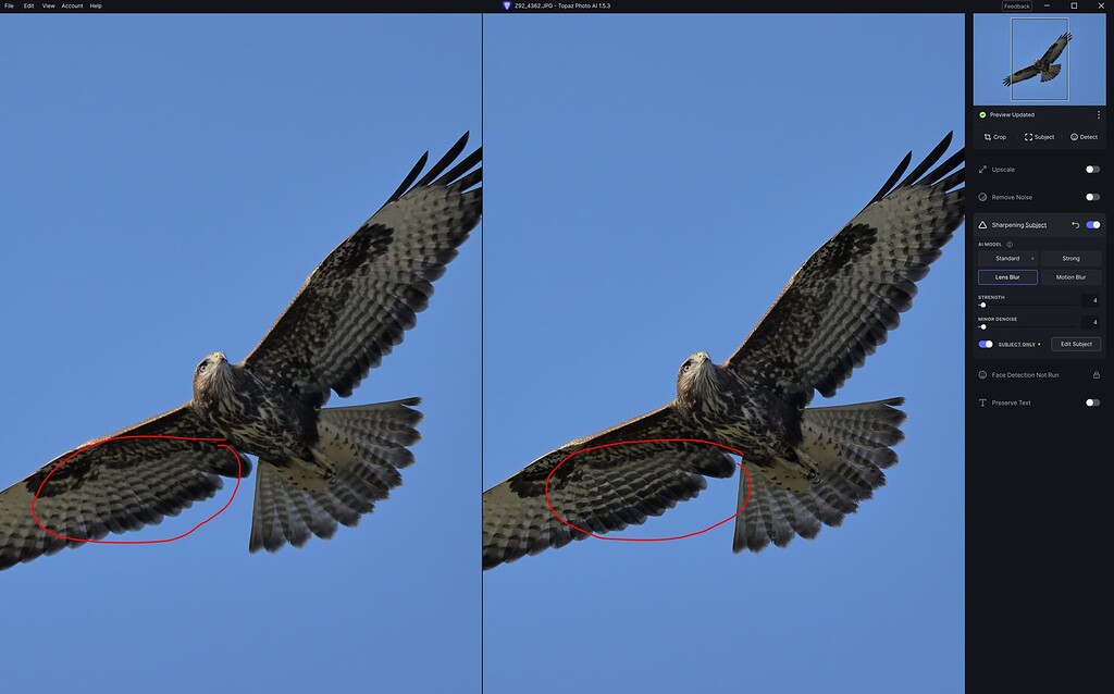 Pattern change on feathers - Motion/Lens Blur TPAI 1.5.2/1.5.3 - Bugs ...
