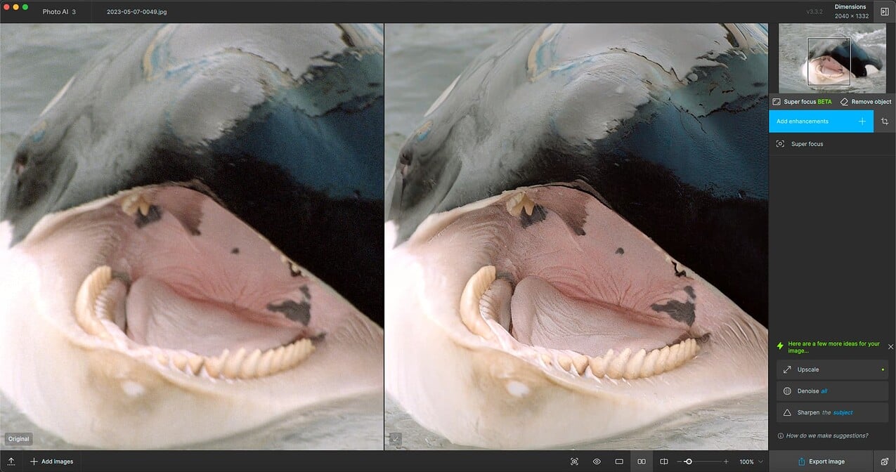 Topaz Photo AI v3.3.2 - v3.3.3 - Releases - Topaz Community