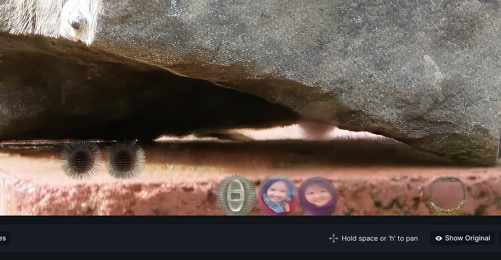 Strange objects with Asian faces on Remove Anything - Bugs and Issues ... Strange objects with Asian faces on Remove Anything - Bugs and Issues ...