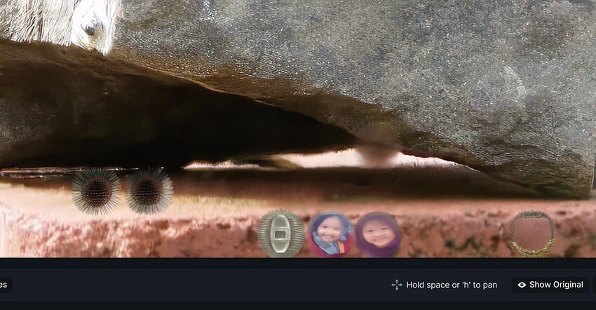 Strange objects with Asian faces on Remove Anything - Bugs and Issues ...