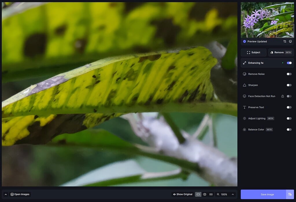 Idea: Automatically Zoom on Faces or Subject Mask When Opening Photos ...