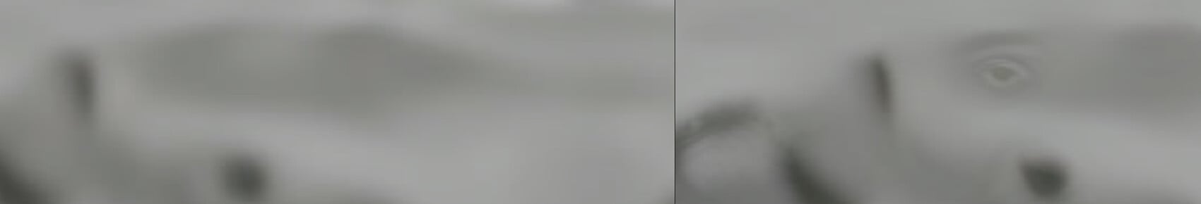 Topaz Video AI: Rhea Experiences - General - Topaz Community