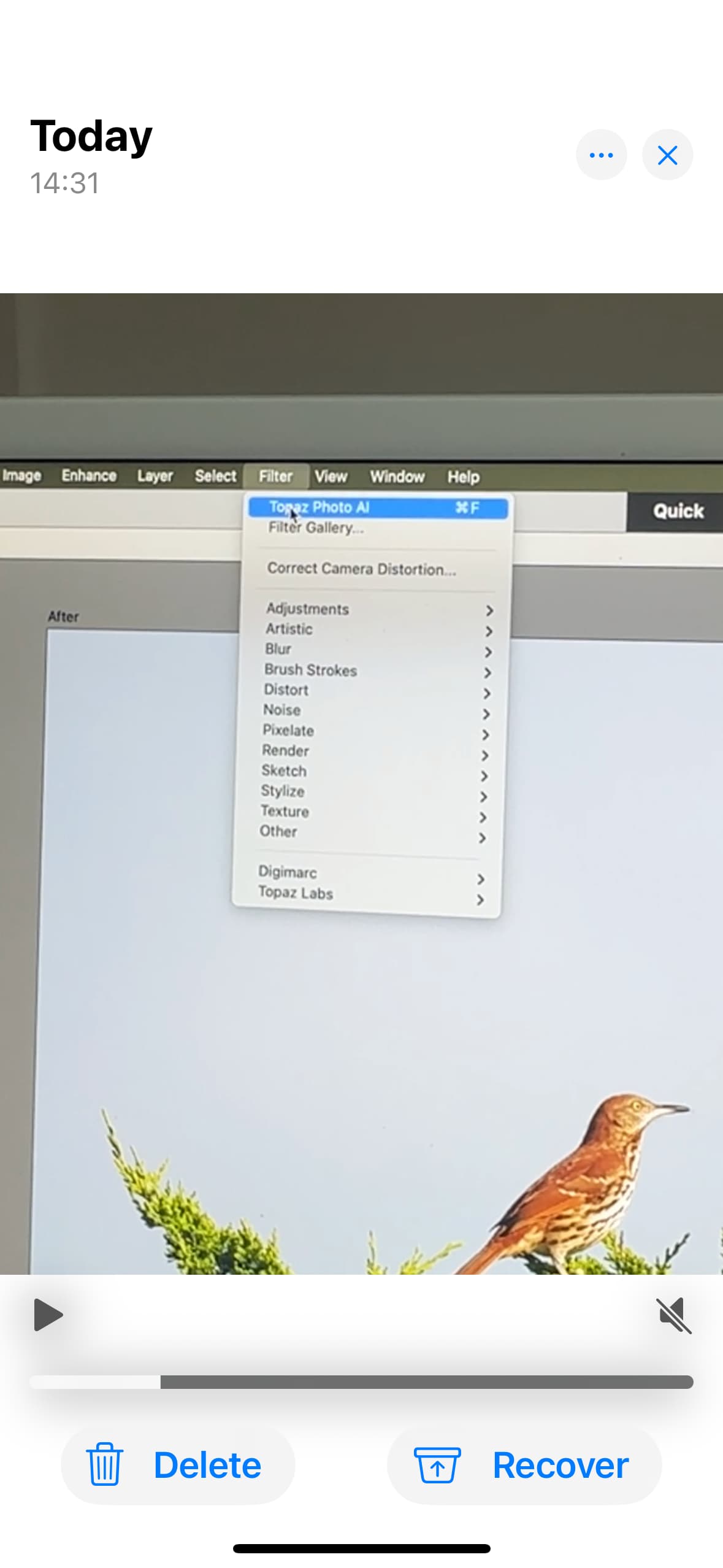 Photo AI 3 auto won't analyse when used as a plug-in with Adobe Photoshop Elements on iMAC ...