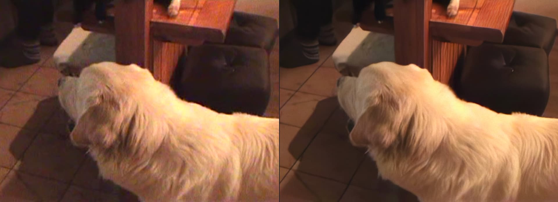 Topaz Video AI v3.5.2 - Page 7 - Releases - Topaz Community