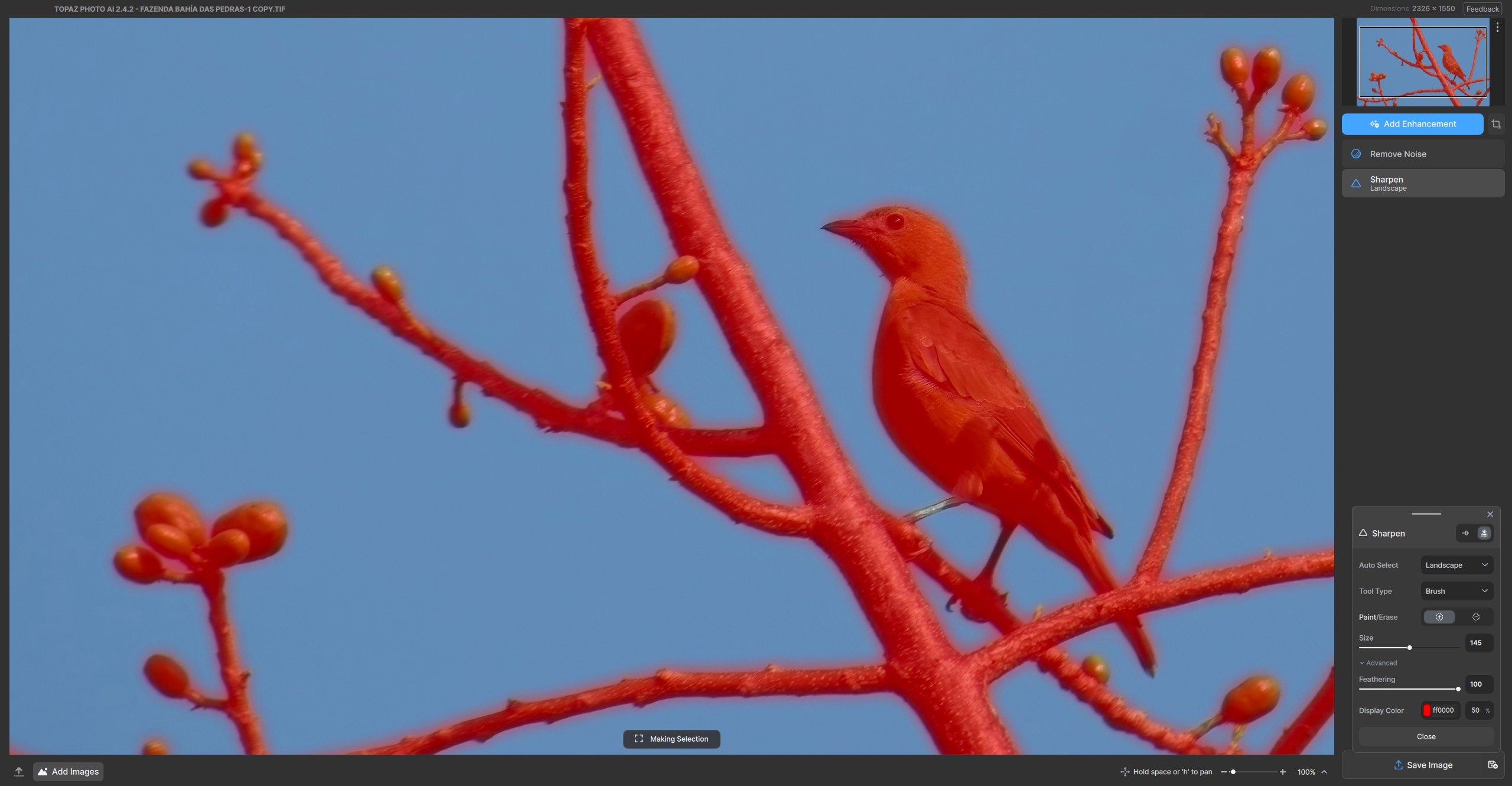 Topaz Photo AI v2.4.2 - Releases - Topaz Community