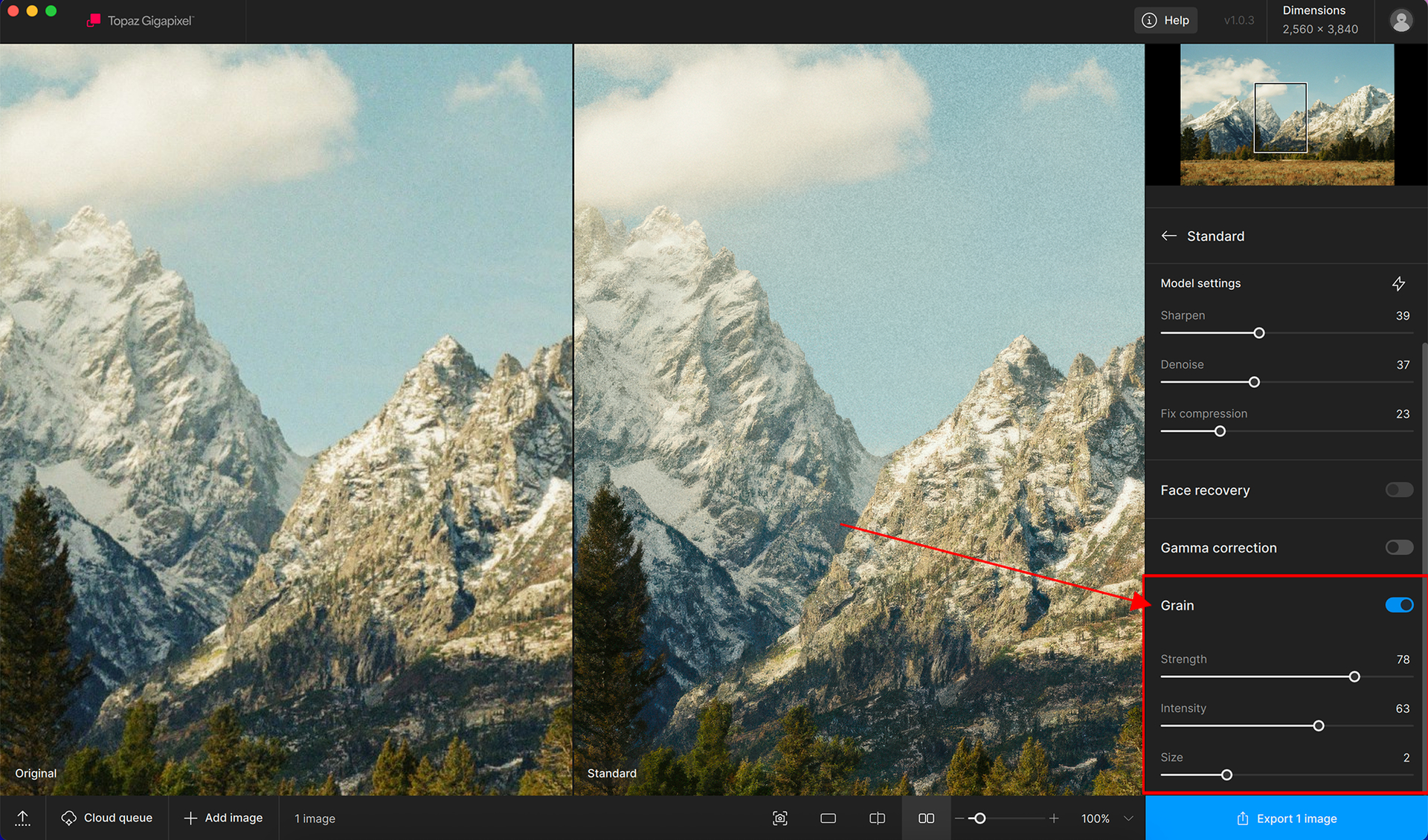 Topaz Gigapixel v1.0.3 - Releases - Topaz Community