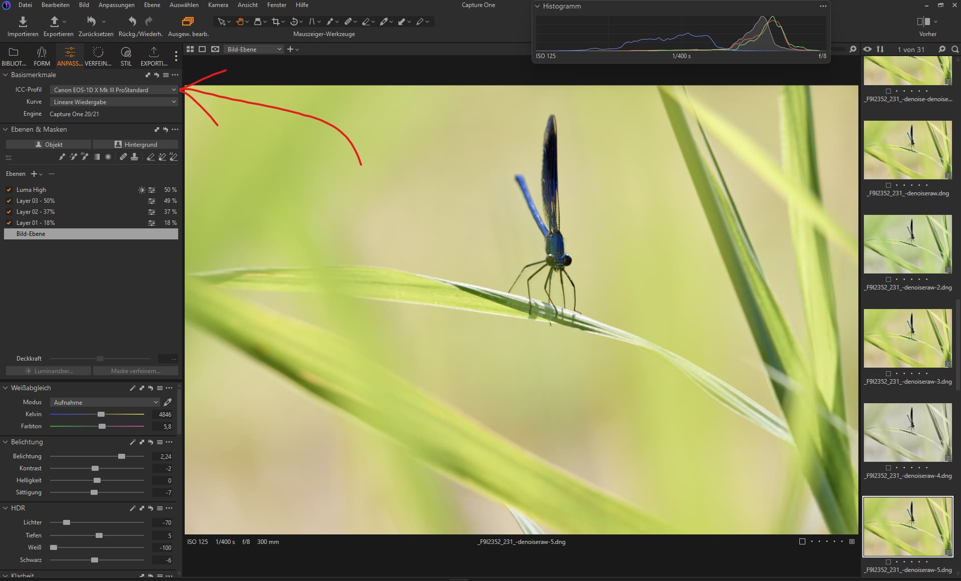 Topaz Photo AI v2.4.1 - Releases - Topaz Community